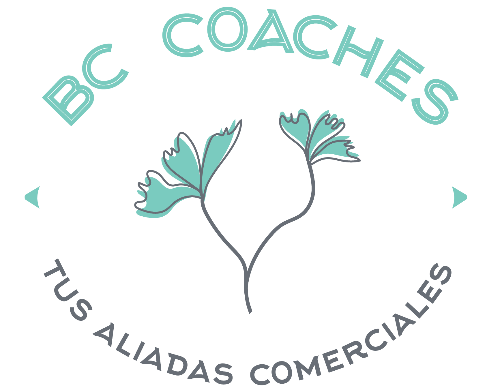 BC Coaches | Tus Aliadas Comerciales | Otro sitio realizado con WordPress
